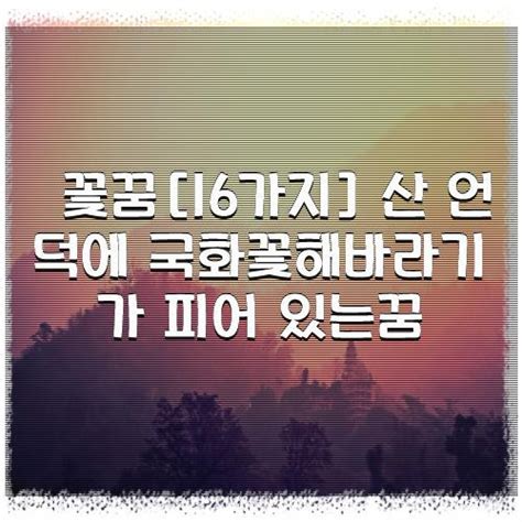 꽃꿈 16가지 산 언덕에 국화꽃해바라기가 피어 있는꿈