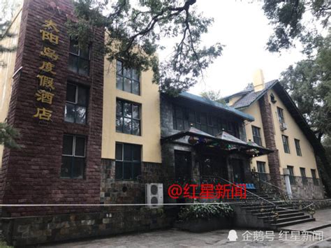 哈尔滨“8 25”火灾后续：太阳岛风景区多家酒店停业 荔枝网新闻