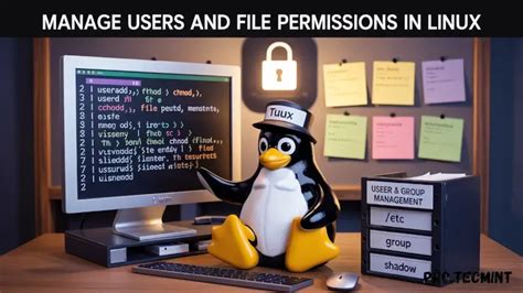 how to manage users groups and file permissions in linux