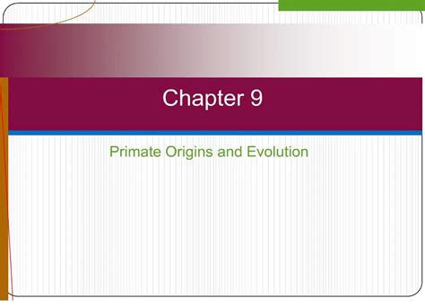 PPT Chapter PowerPoint Presentation Free Download ID