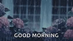 Rainy Good Morning With Hydrangea Flowers 