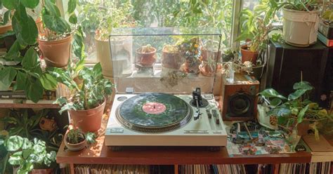 How To Train An Ai Model Guide To Llm Training Outlier Ai