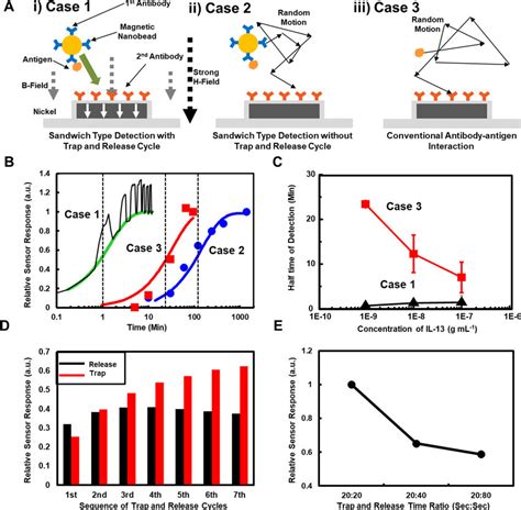 High Speed Detection Using Functionalized Magnetically Focusing Biochip Download Scientific
