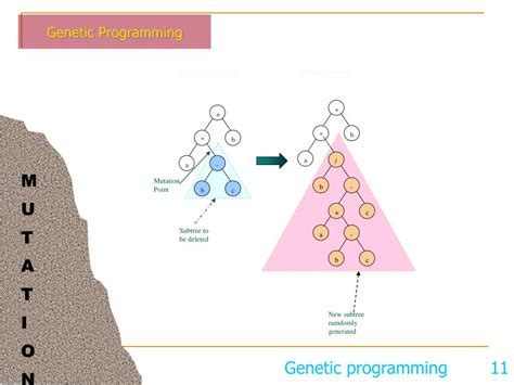 Ppt Parallel Genetic Programming Powerpoint Presentation Free Download Id4205157