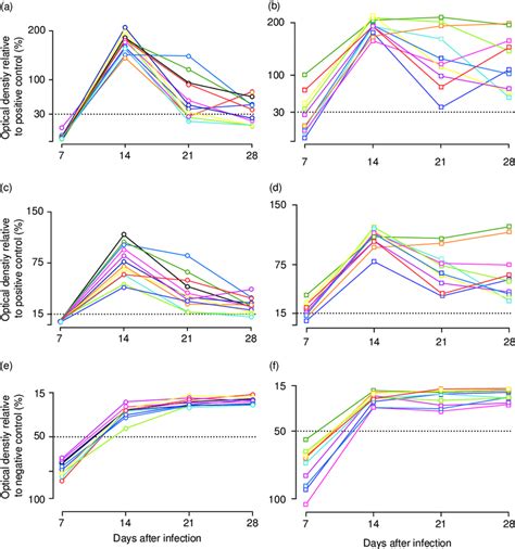 Antibody Response Of Ruminants After Experimental Infection With Download Scientific Diagram