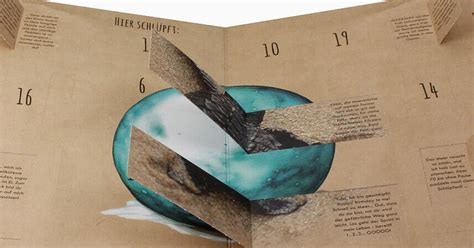 Der Turtle Adventskalender Von Oceanmata