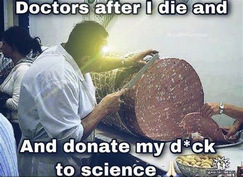 Pin By 𝚝 On Rot Silly Memes Really Funny Really Funny Pictures