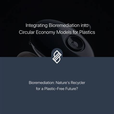 Integrating Bioremediation Into Circular Economy Models For Plastics →