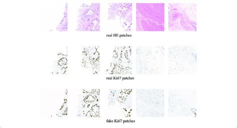 The Patch Level Visualization Of Image Generation Results Here We