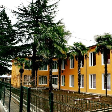 სენაკის 1 ბაგა ბაღი Senaki