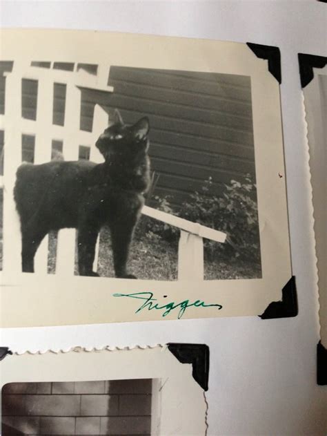 Omg It Looks Like Nigger Wtf R Im14andthisiswtf