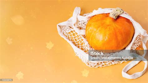 가을 야채 할로윈 호박직물 오렌지 배경의 메쉬 가방에 호박의 다양한 공간을 복사합니다 야채 가을 음식 개념 다른 품종의 호박의 구성 행복한 추수 감사절 0명에 대한 스톡