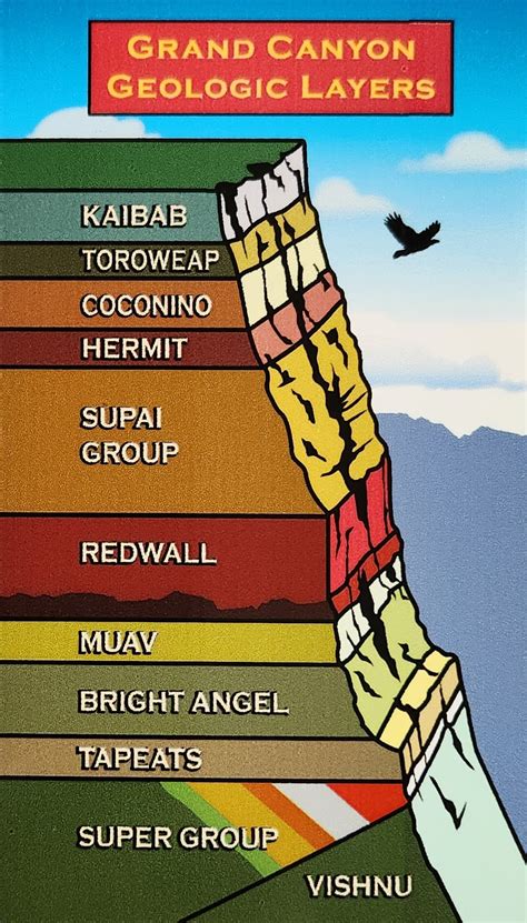 Grand Canyon Rock Layers Vinyl Decal Grand Canyon Conservancy