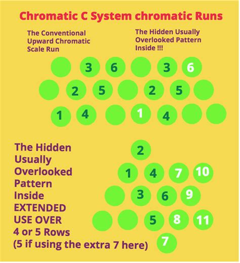 A Piano Accordions Guide To The Concepts Of Playing Chromatic Button Accordion