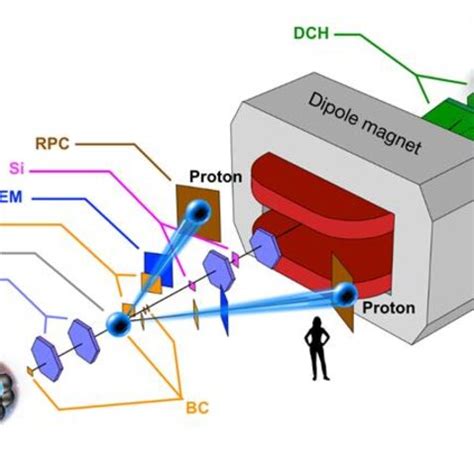 Illustration Of The SRC Configuration Of The BM N Experiment 22 Download Scientific Diagram