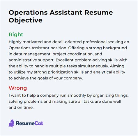 Top 17 Operations Assistant Resume Objective Examples