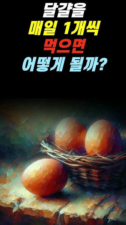 계란을 매일 1개씩 먹으면 어떻게 될까 50대 중년 건강정보 건강관리 건강레시피 Youtube