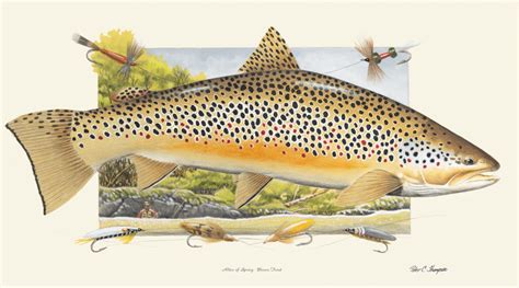 Classic Fish Scenes Classic Fish Art