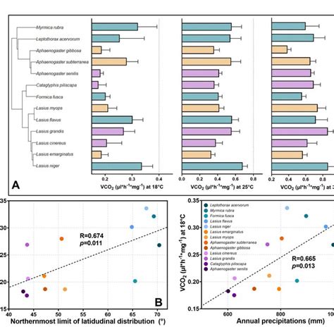 Standard Metabolic Rates Smrs At Lower Temperatures Track Species
