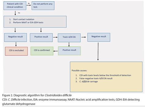 Clostridioides Difficile Infection A Serious Complication Of Intestinal Microbiome Alteration