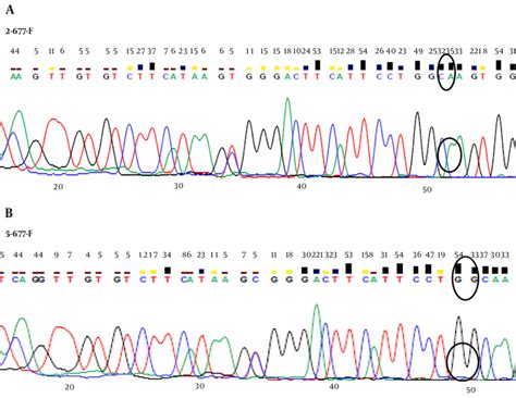 The Representative Electropherogram Pattern For Heterozygous 2029 C T Download Scientific