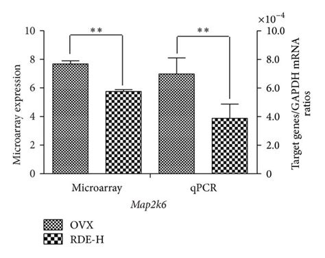 Validation Of 6 Differential Expression Genes Identified By Microarray