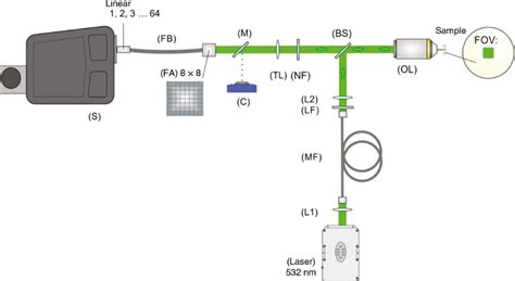Sketch Of The Experimental Setup For Fiber Array Based Raman