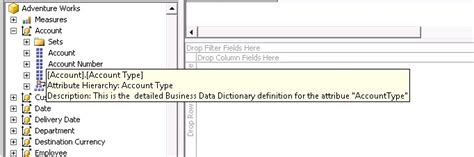 Managing Data Dictionaries In DW And DSS Database Applications