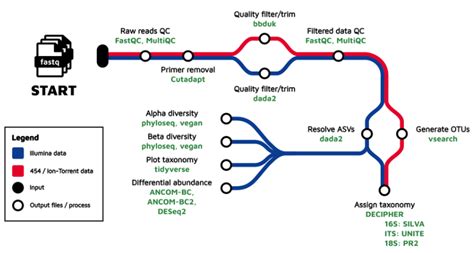 Amplicon Sequencing Nasa Science