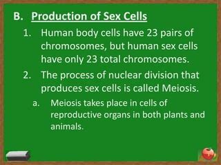 Chapter 4 Section 2 Notes PPT