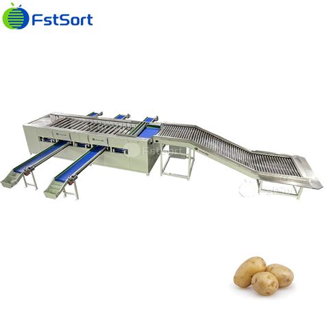 Fstsort Vegetable Grading Sorting Machine Potato Sorter Potato Grader Potato Packing Machine