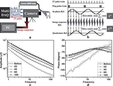 A Schematic Diagram Of Experimental Setup B Signal Processing Download Scientific Diagram