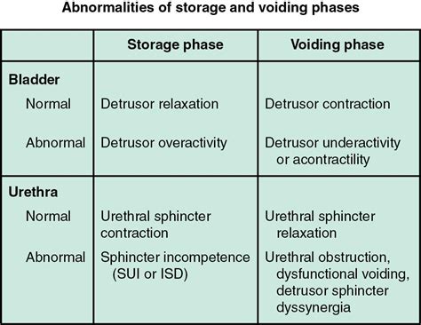 Description And Classification Of Lower Urinary Tract Dysfunction And Pelvic Organ Prolapse