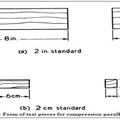 Standard Specimen For Compression Parallel To Grain Test Three Download Scientific Diagram