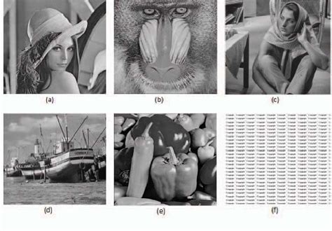 Figure 1 From Random Grid Based Extended Visual Secret Sharing Scheme For Image Authentication