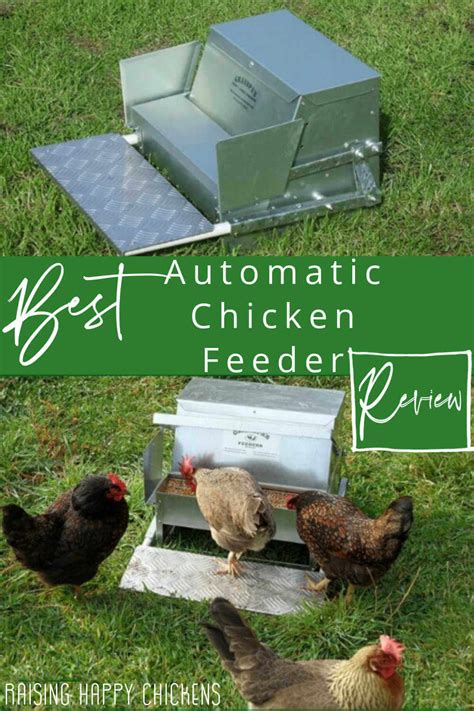 Automatic Chicken Feeder System At Heather Kushner Blog