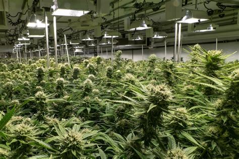 Six Ways To Increase Your Yield Blogs