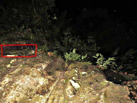 La última Selfie De Kris Kremers Historias Terror Y Más Facebook
