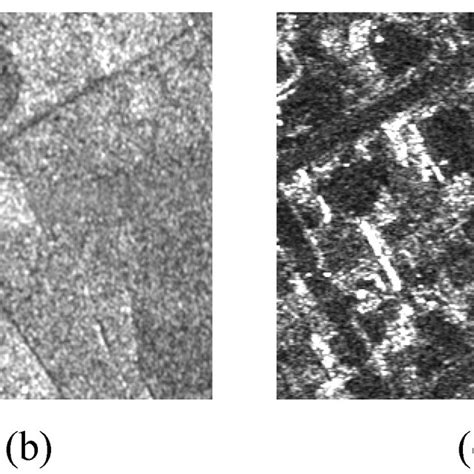 The Synthetic Aperture Radar Sar Scene Images In The Same Class A