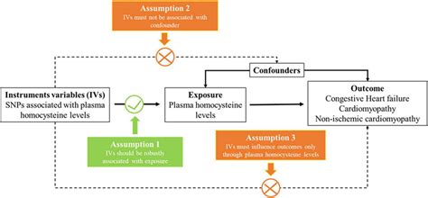 Three Key Assumptions Underlying Mendelian Randomization Study Design
