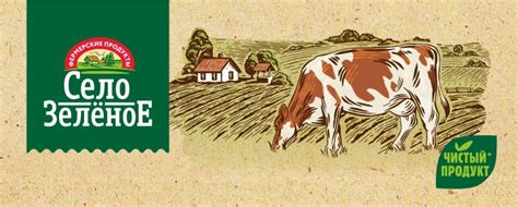 Молочная продукция «Село Зелёное» от производителя: молоко, творог ...