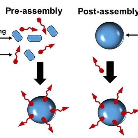 Pre And Post Assembly Approaches For Functionalization Of Polymeric