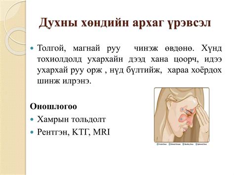 Hamar Daivar Hondiin Arhag Urevsel Pptx