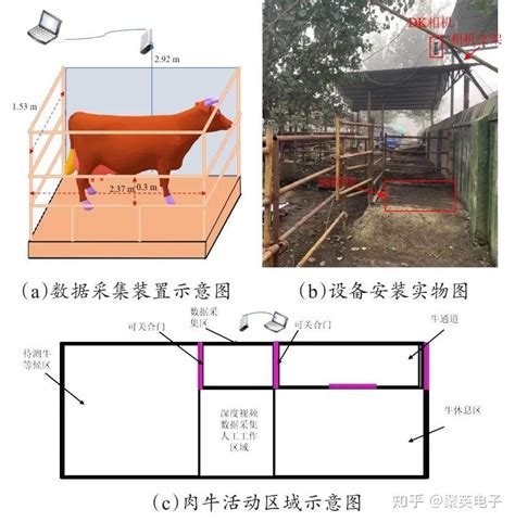 基于深度图像的多姿态肉牛体尺自动测量方法 知乎