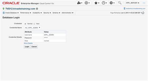Oracle Enterprise Manager 13c Kill Session For Application