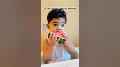 වදුරු පැන්චෙක් වගේ පළතුරු කන්න ආස රියු බබා 😄🙊🍉 Youtube