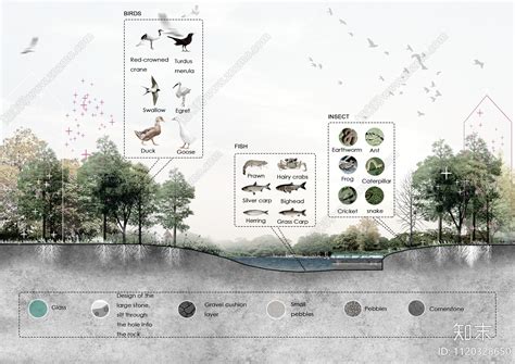 景观剖立面生态分析图素材高清psd免抠下载【id1120328650】undefined
