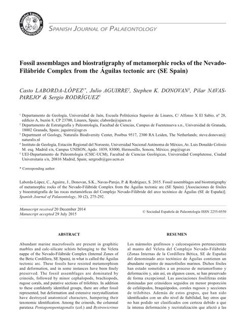 Pdf Fossil Assemblages And Biostratigraphy Of Metamorphic Rocks Of