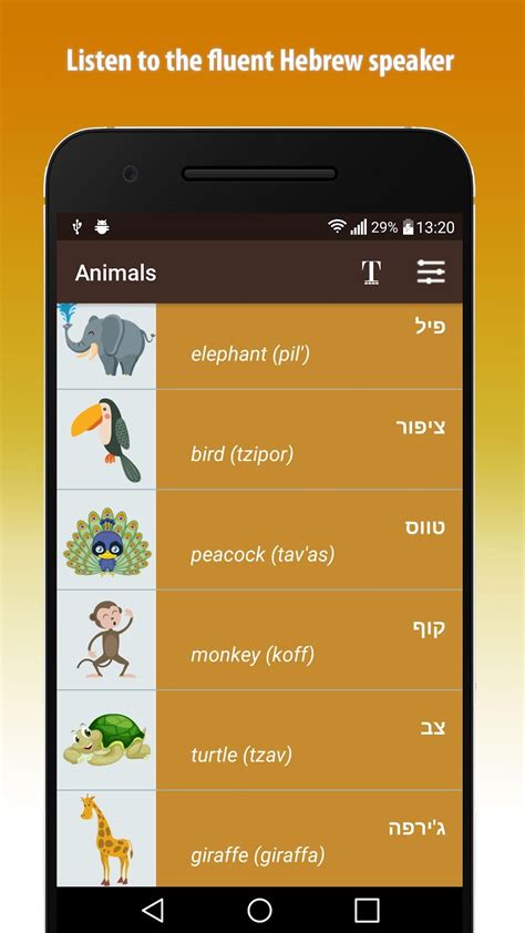 Android Için Learn Hebrew Basics İndir