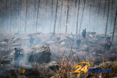 Ой хээрийн түймрээс урьдчилан сэргийлэхийг анхааруулж байна